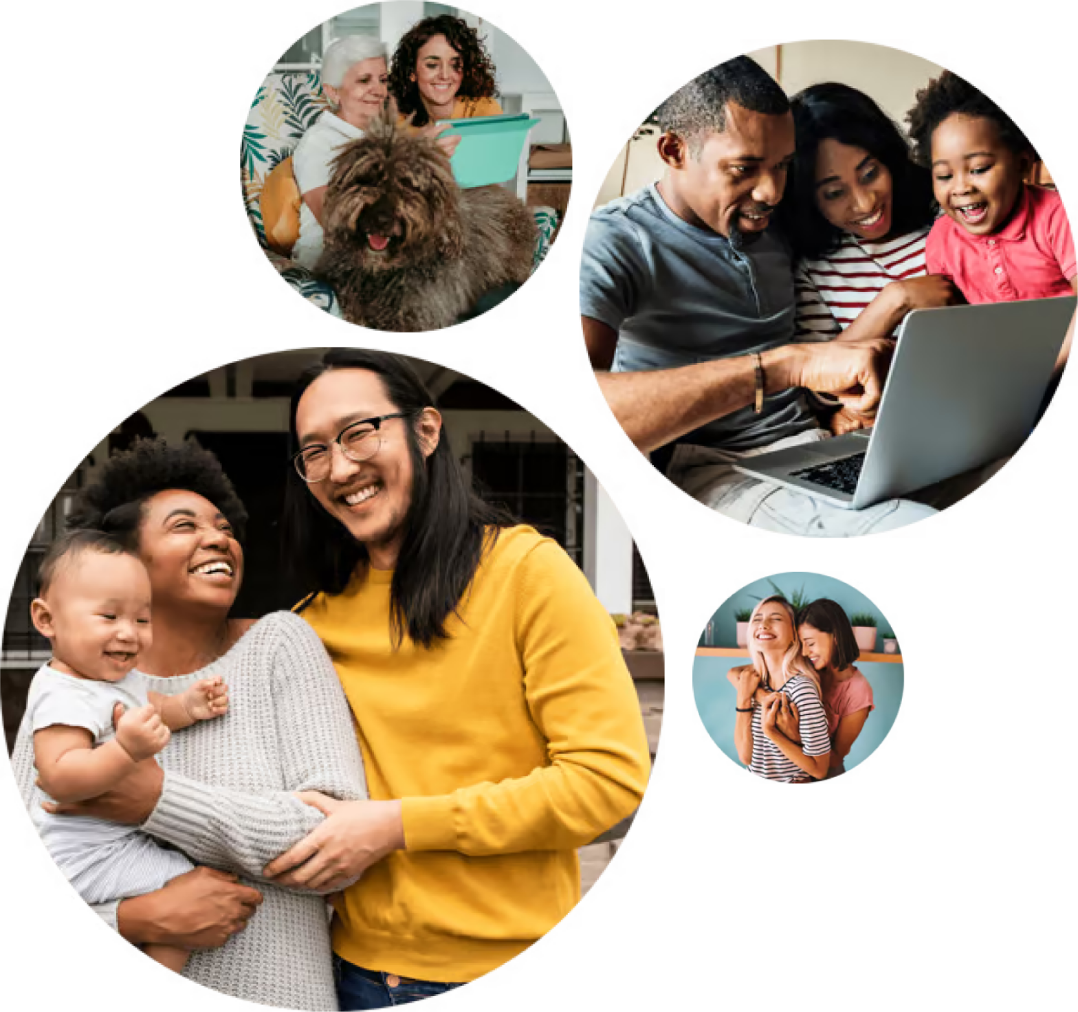 Consumer Panel Data You Can Trust | Omnipanels by Numerator